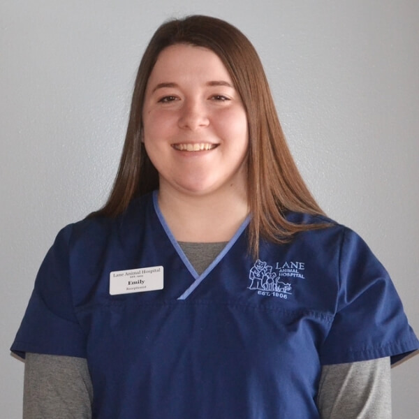 Veterinarian in Chelsea, MI 48118 | Lane Animal Hospital