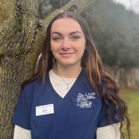 Veterinarian in Chelsea, MI 48118 | Lane Animal Hospital